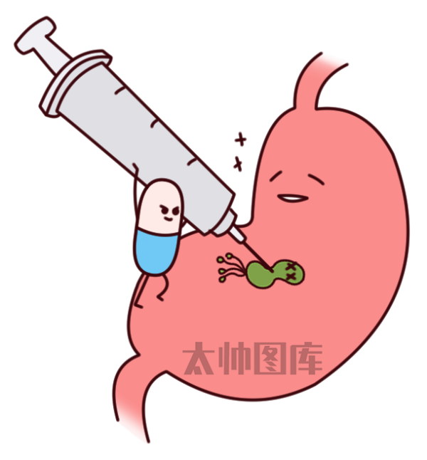 幽门螺杆菌 医学插画